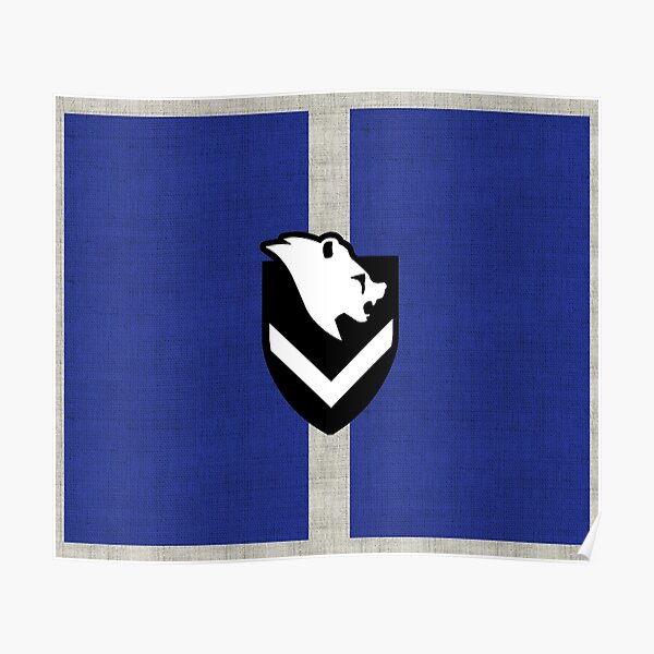 "Windhelm Banner" Poster for Sale by OLASLeMrqx | Redbubble