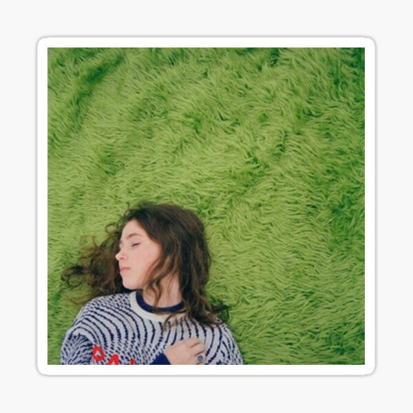"Clairo album cover " Sticker by poopiedeuce | Redbubble