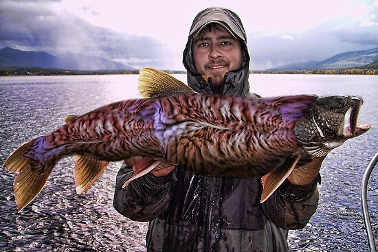 "Fur Bearing Trout" Posters by GolemAura | Redbubble
