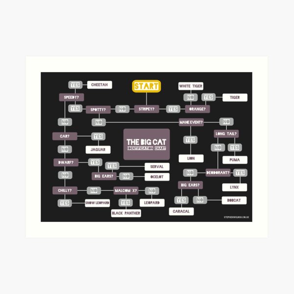 "Big Cat Identification Chart" Art Print by Wildyles | Redbubble