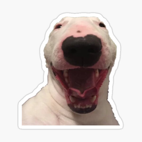 "HAPPY WALTER HAPPY WALTER" Sticker for Sale by jenna11haynie | Redbubble