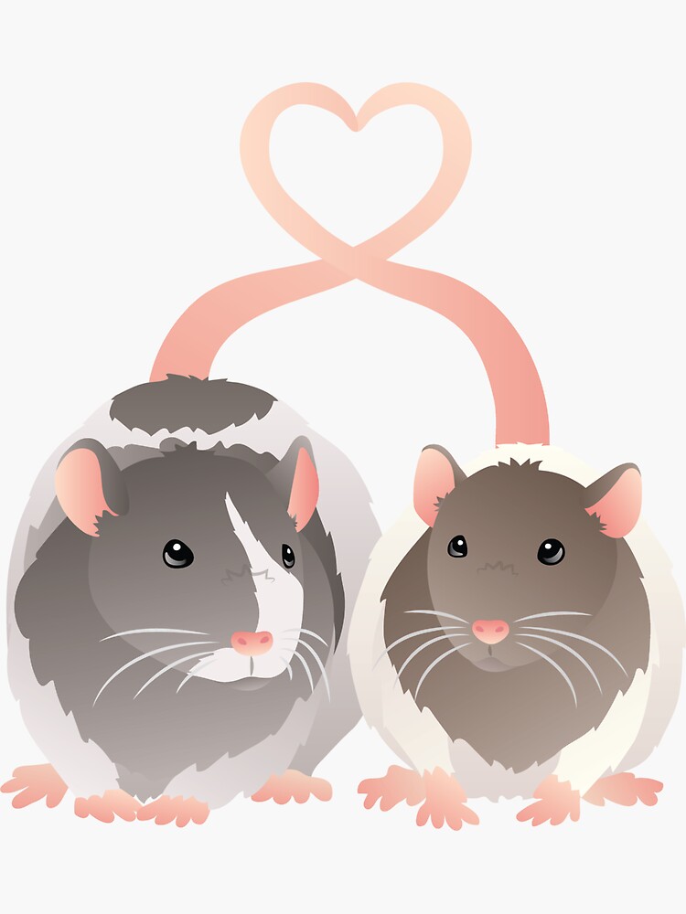 "rat love" Sticker for Sale by tandemsy | Redbubble
