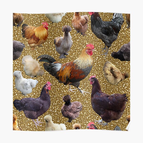 "Backyard Chickens on Gold Glitter" Poster by StandoutSilkies | Redbubble
