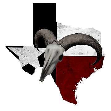 " Texas Aoudad skull" Sticker for Sale by Noah357 | Redbubble