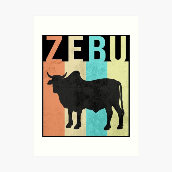 "Zebu Vintage Classic" Art Print by frigamribe88 | Redbubble