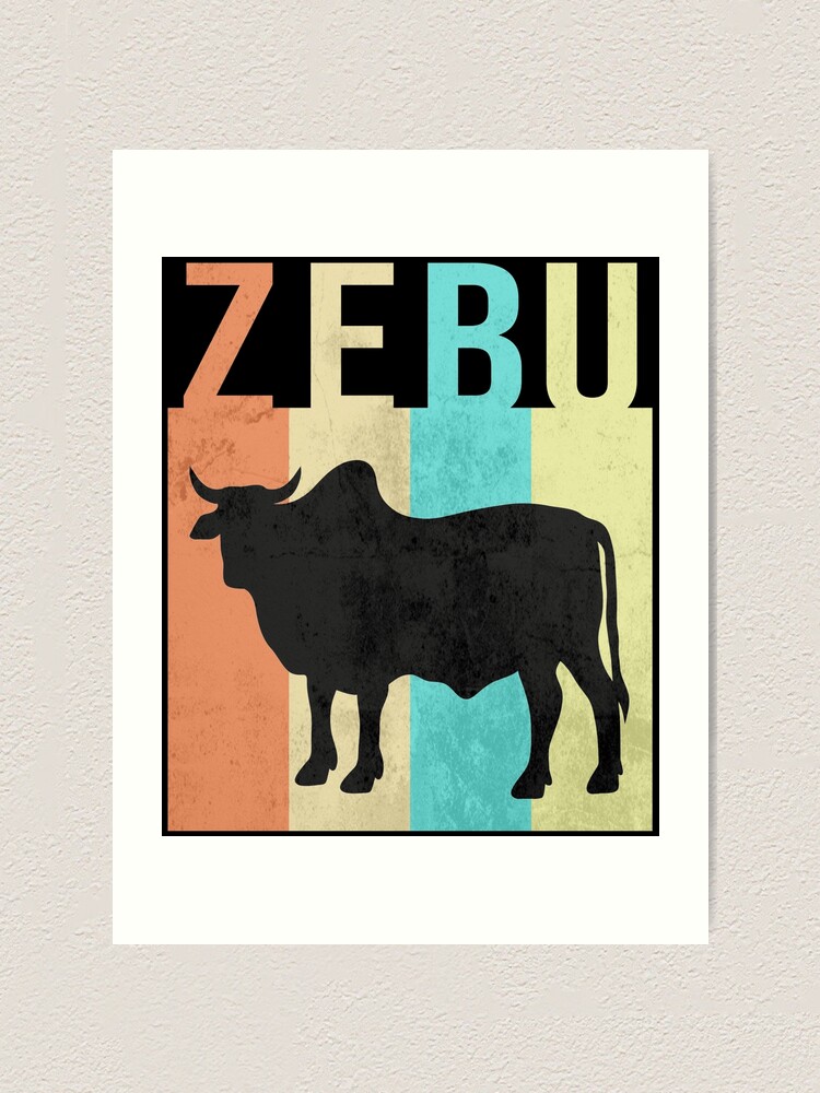 "Zebu Vintage Classic" Art Print by frigamribe88 | Redbubble