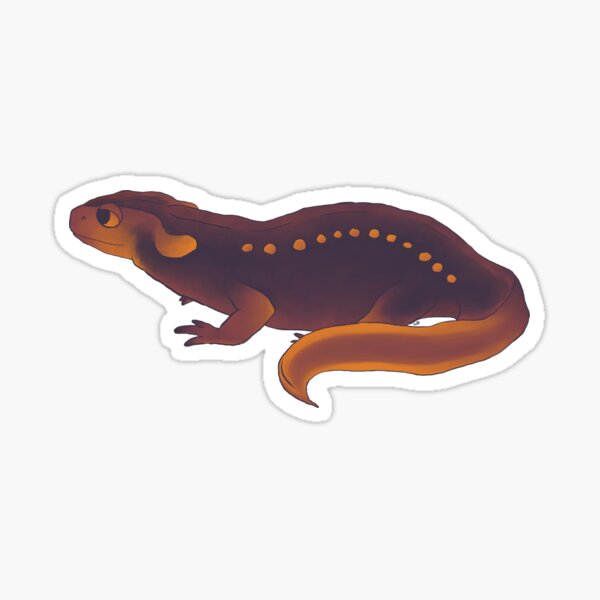 "Himalayan newt" Sticker by Ronnie1107 | Redbubble