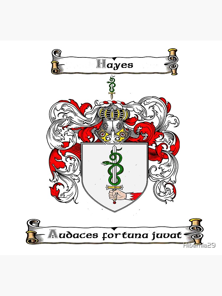 "Hayes Family Crest and Motto" Photographic Print for Sale by ...