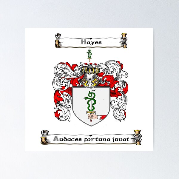"Hayes Family Crest and Motto" Poster for Sale by Hibernia29 | Redbubble