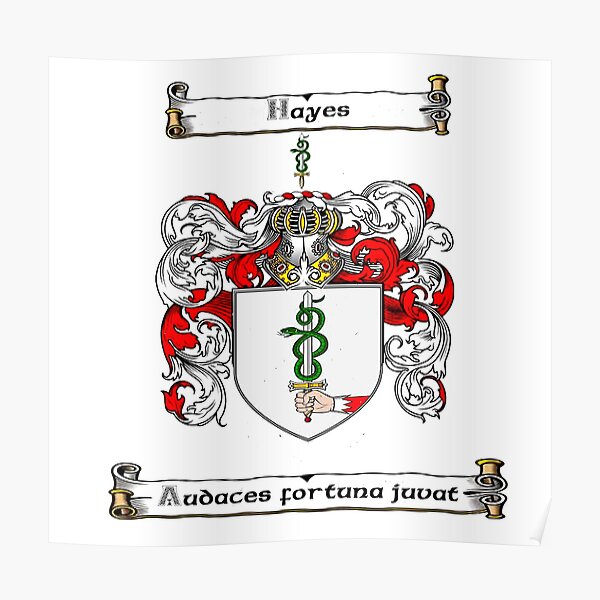 "Hayes Family Crest and Motto" Poster for Sale by Hibernia29 | Redbubble