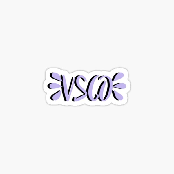 "VSCO Sticker" Sticker for Sale by rose-goldxn | Redbubble