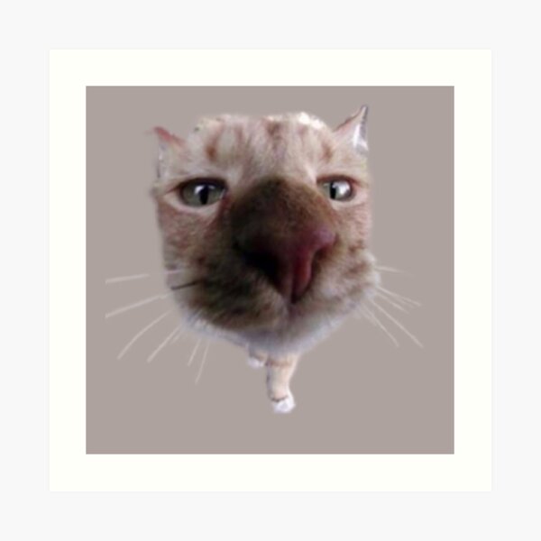 Gloop Cat Art Prints | Redbubble