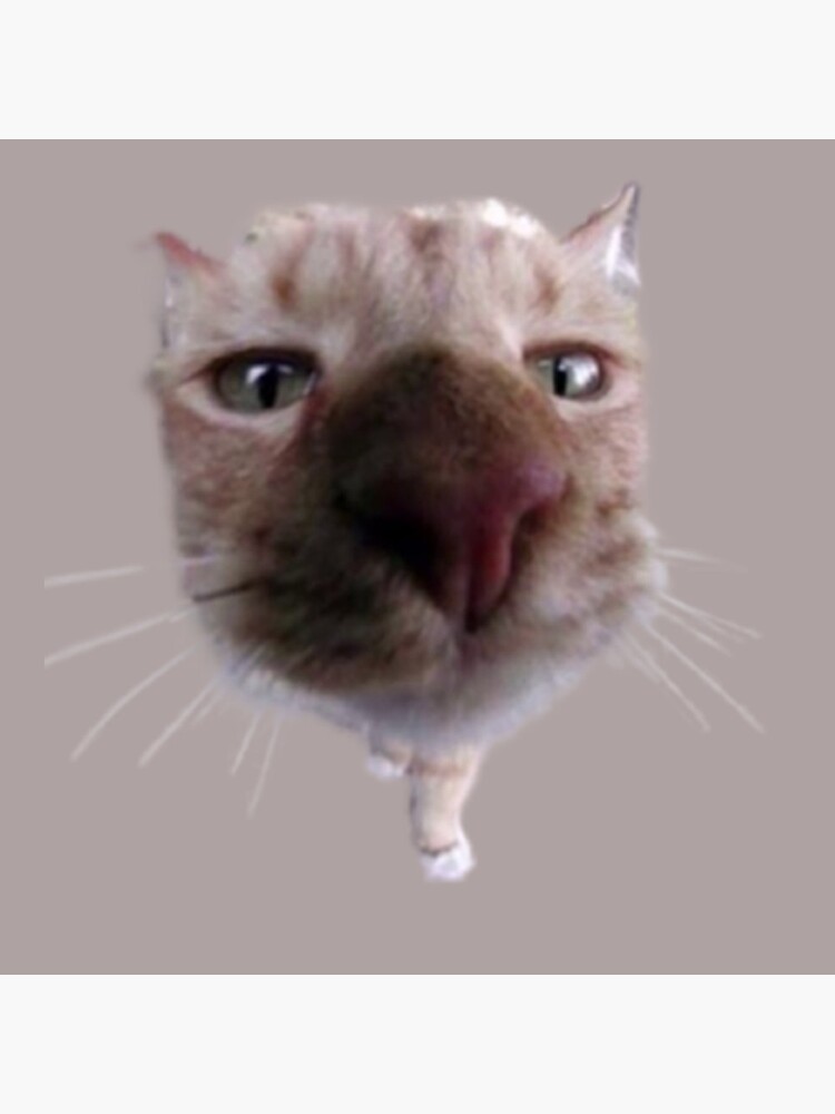 "gloop cat" Art Print for Sale by jsd444 | Redbubble