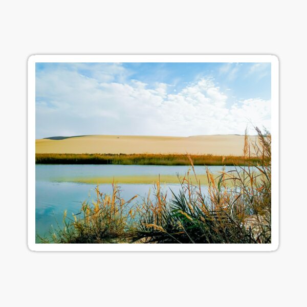 "Grass Blue Lake in Siwa" Sticker for Sale by LouKii | Redbubble