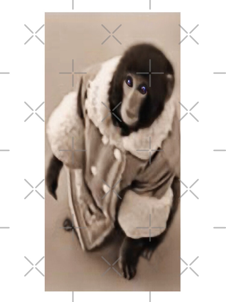 Funny Ikea Monkey Memes