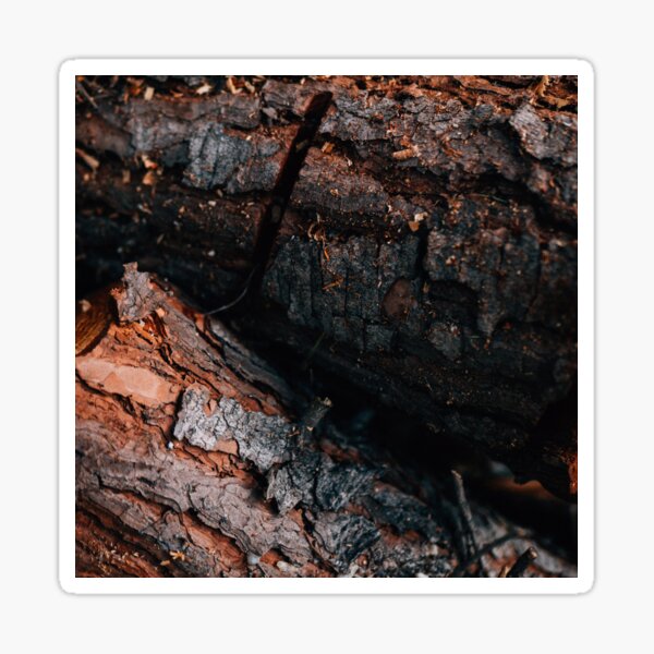 "Timber" Sticker for Sale by jmontoids | Redbubble