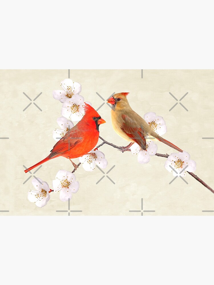 "Northern Cardinal Birds" Mask for Sale by lauradyoung | Redbubble