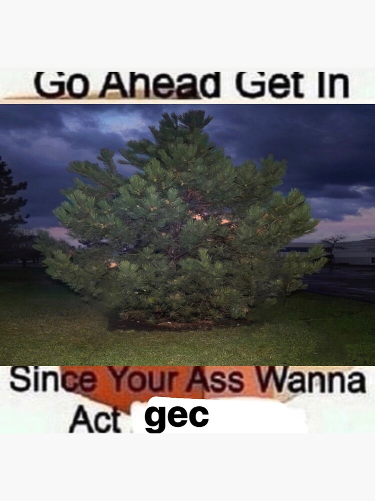 "100 Gecs Meme Sticker" Sticker for Sale by Froggylove | Redbubble