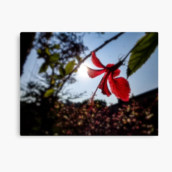 Bunga Raya Gifts & Merchandise | Redbubble