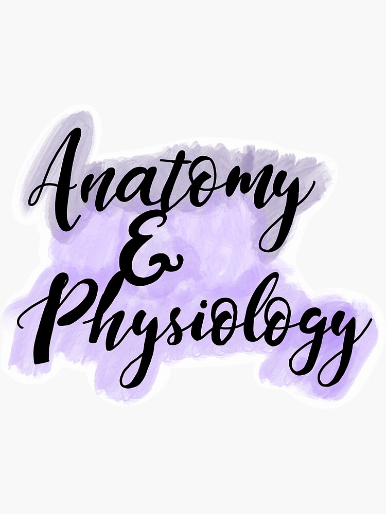 Anatomy And Physiology Word Search Printable - Word Search Maker