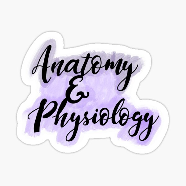 "Anatomy and Physiology" Sticker for Sale by sashamaslowski | Redbubble