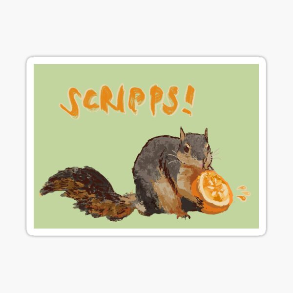 "scripps college squirrel" Sticker by fonsscientae | Redbubble