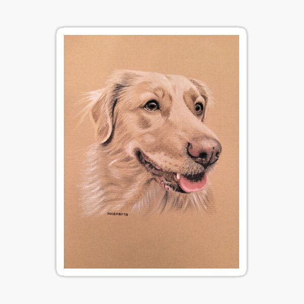 "Pippin the beautiful Nova Skotia Duck Toller" Sticker for Sale by ...