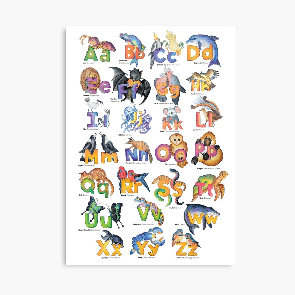 nursery art Alphabet Australian animal kids illustration SET OF 2 ...