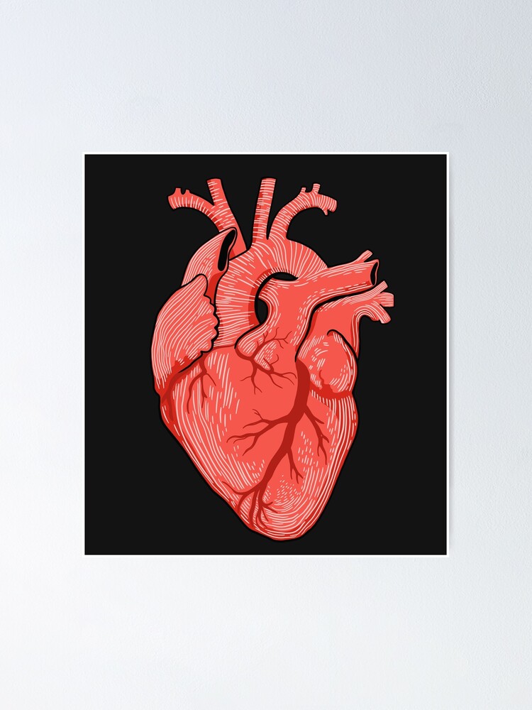"Anatomical Heart Drawing - Cardiac Surgeon Nurse" Poster by ...