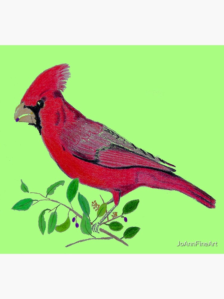 "Beautiful cardinal or redbird colored pencils drawing" Framed Art ...