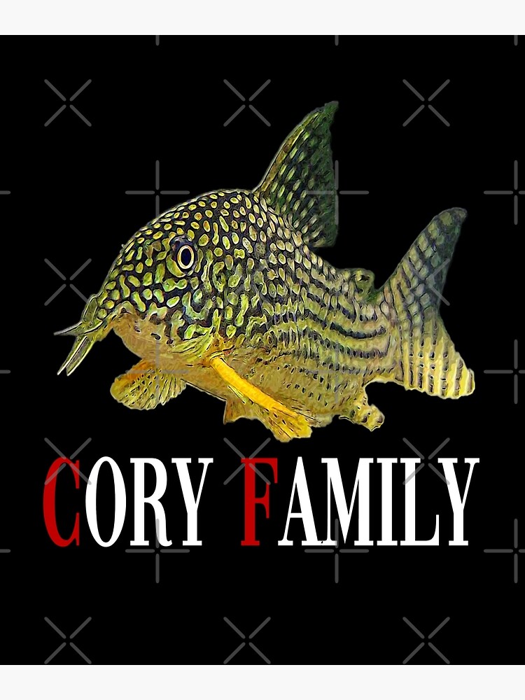 "Cory Family" Poster for Sale by GFishy | Redbubble