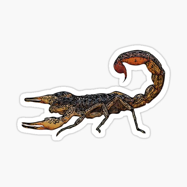 "Scorpion Color Print " Sticker by designsasstultd | Redbubble