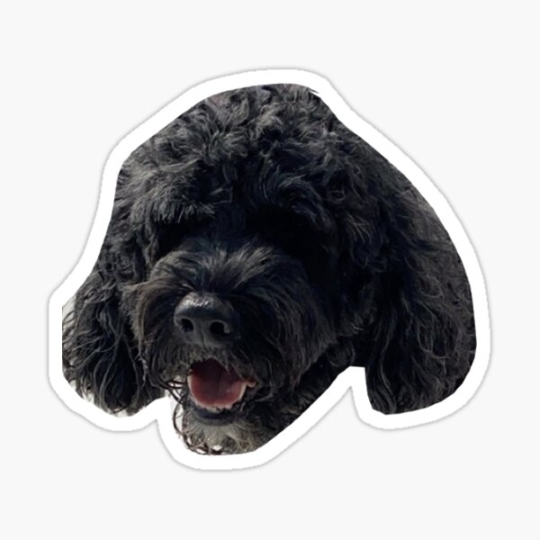 "Portuguese Water Dog" Sticker for Sale by OliviaLux | Redbubble
