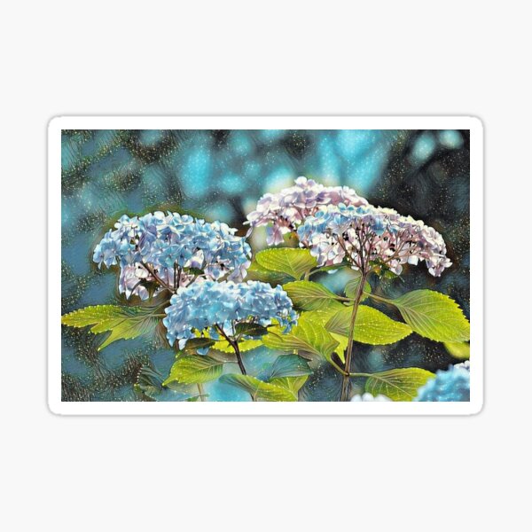 "Hydrangea" Sticker for Sale by ReneeKennedy | Redbubble