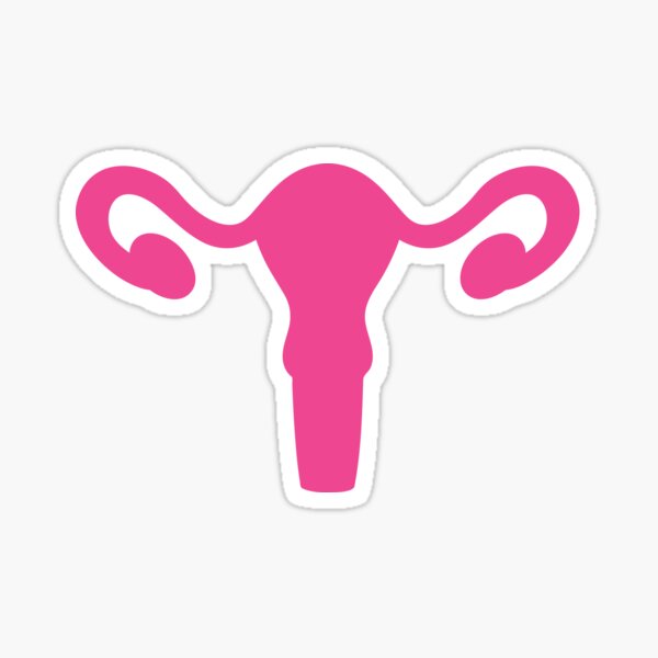 Reproductive System Stickers | Redbubble