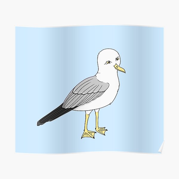 "Fluffy Seagull" Poster by LilacLynx | Redbubble