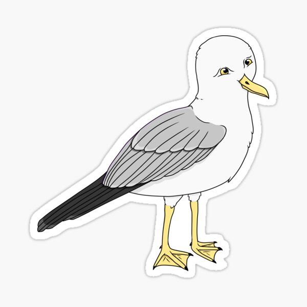 "Fluffy Seagull" Sticker by LilacLynx | Redbubble