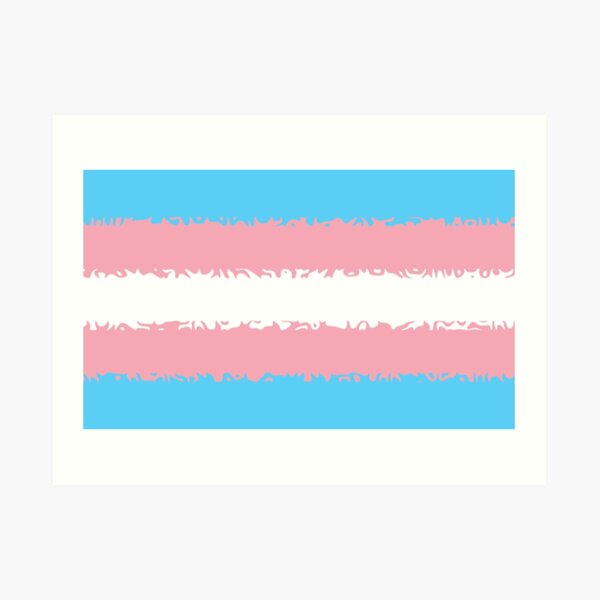 "Wild Transgender Pride Flag Redesign" Art Print for Sale by Dator ...