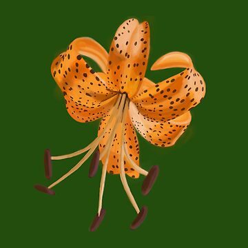 "Tiger Lily" Sticker for Sale by okaymoose | Redbubble