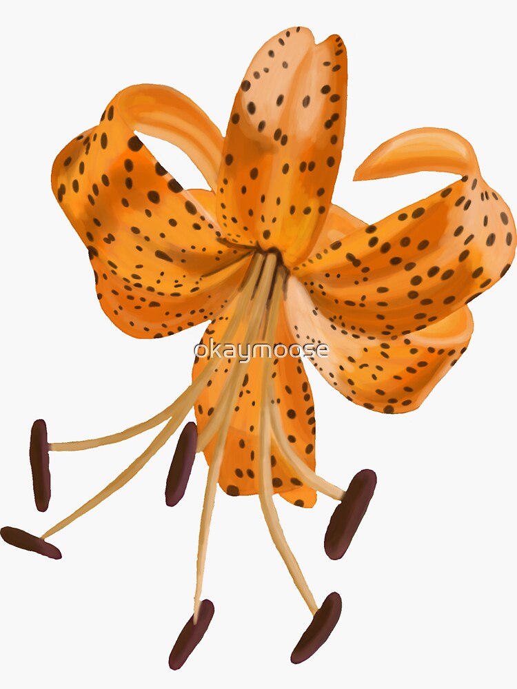 "Tiger Lily" Sticker for Sale by okaymoose | Redbubble