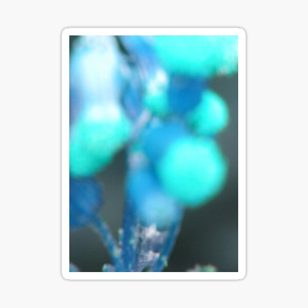 "Blue Lights - Abstract Electric Blue Colors" Sticker for Sale by ...