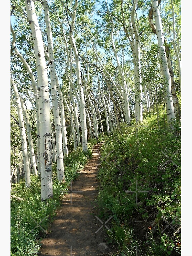 " Colorado. Machen Sie eine mentale Pause in den Bergen und auf diesem ...
