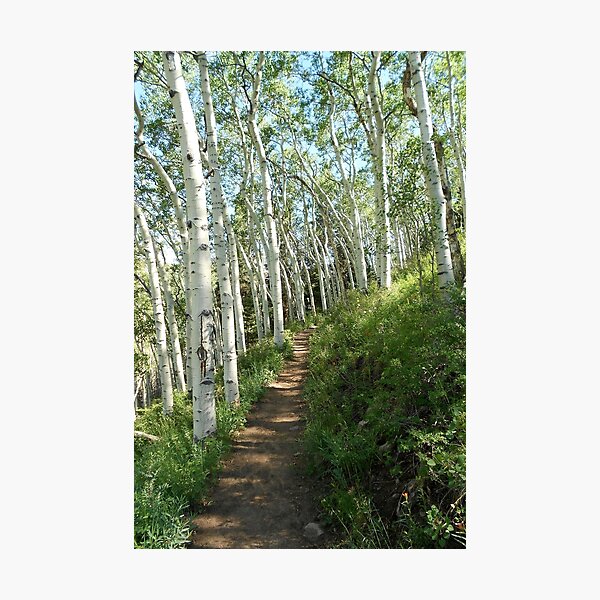 " Colorado. Machen Sie eine mentale Pause in den Bergen und auf diesem ...