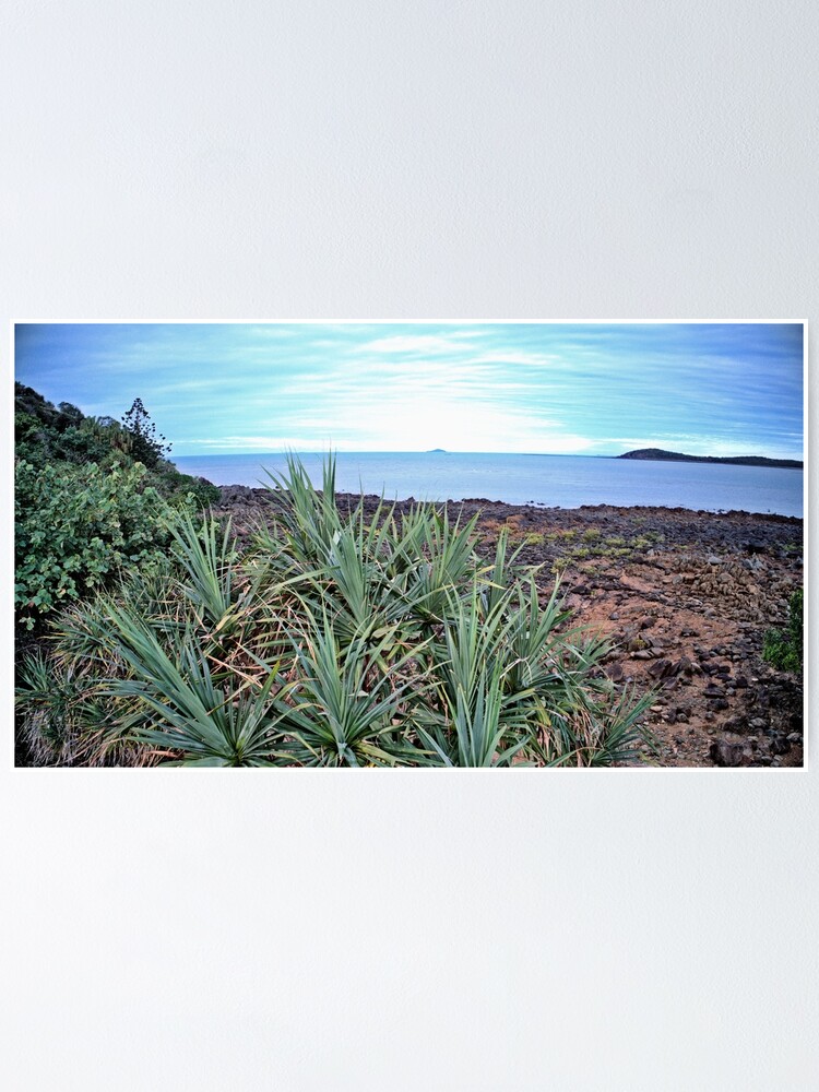 "Sarina Beach" Poster by Burp99 | Redbubble