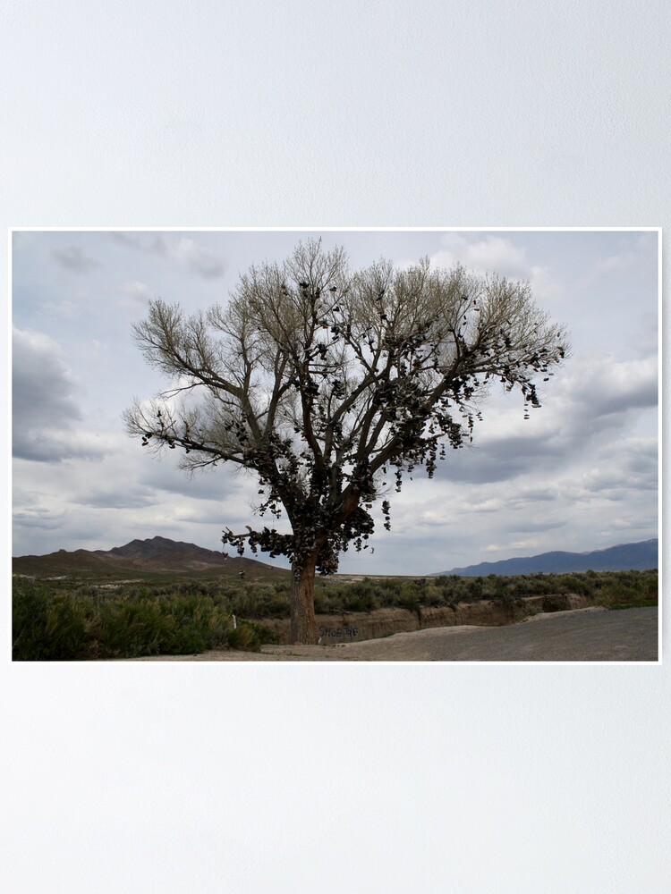 "The Shoe Tree,outside Fallon Nevada,USA" Poster by leake1 | Redbubble