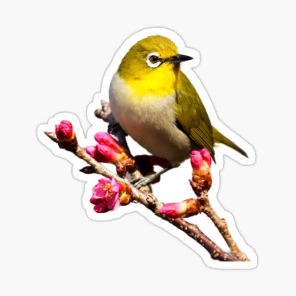 "Little Yellow Bird" Sticker for Sale by aesthetic-zing | Redbubble