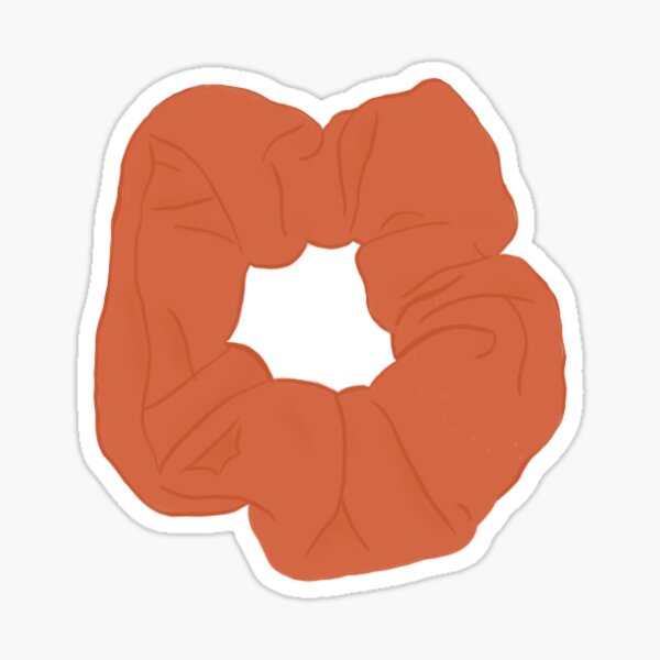 "Scrunchie" Sticker for Sale by x-kaitlyn-x | Redbubble