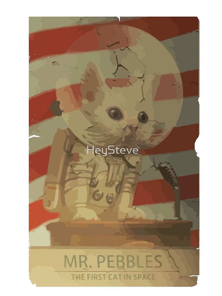 "Mr. Pebbles - The first cat in space" Art Print for Sale by HeySteve ...