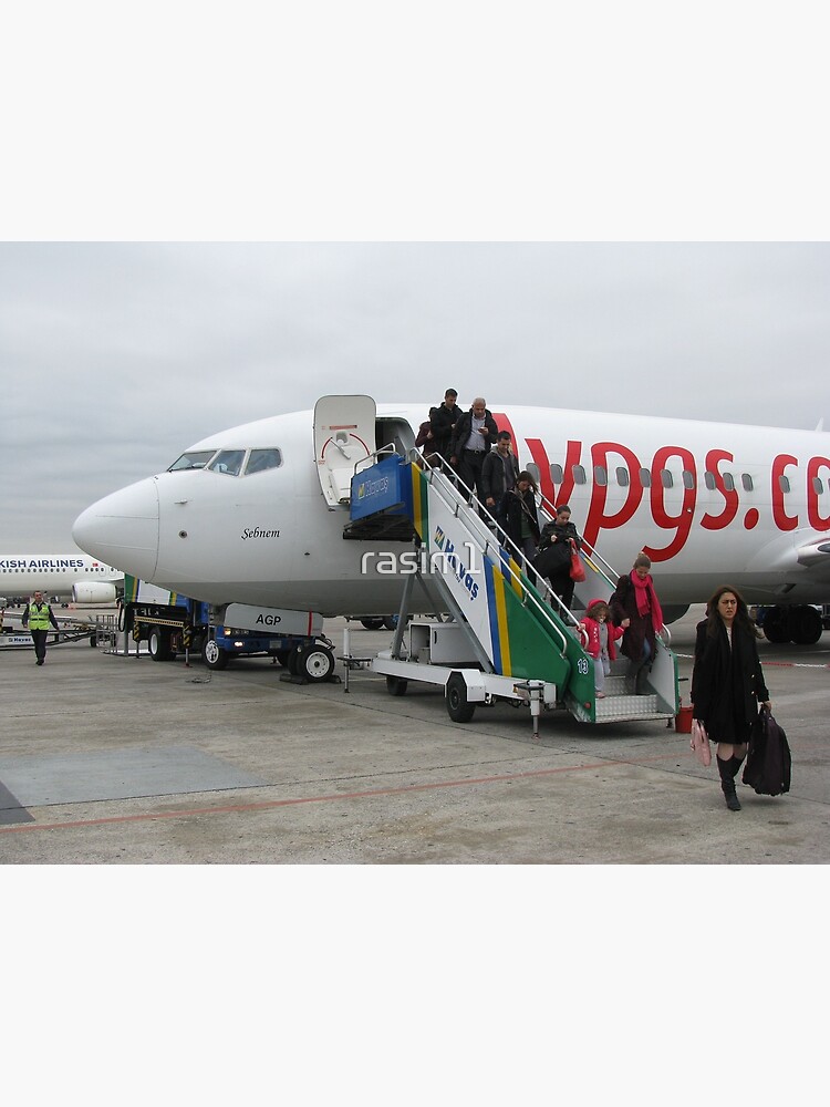 "Flypgs" Photographic Print by rasim1 | Redbubble