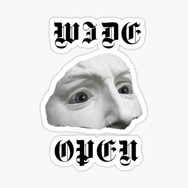 "Eyes Wide Open" Sticker for Sale by ARTCHIVES | Redbubble